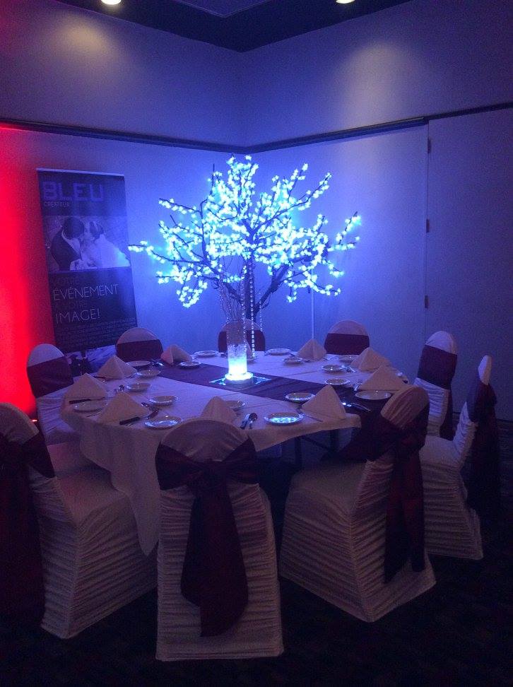 THÈME BLANC ET BOURGOGNE - Bleu Créateur Événementiel